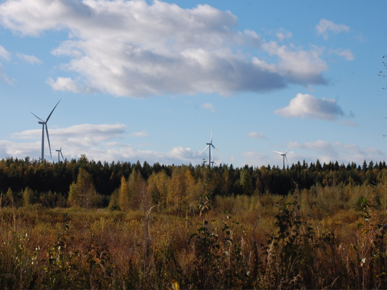 Information about the announcement, HaukkasaloThe environmental impact ...