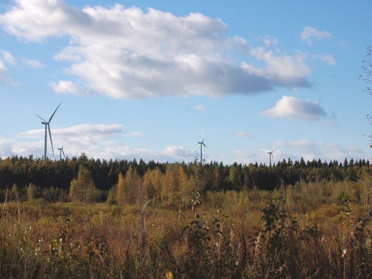 Information about the announcement, Paholammin wind farm environmental ...
