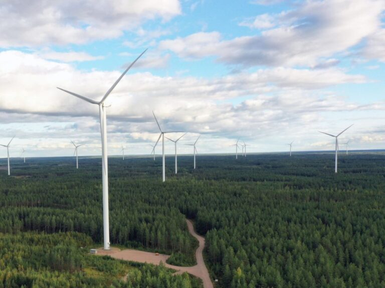 Statement of the coordinating authority on the environmental impact ...